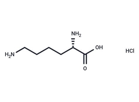 Poly L Lysine Hydrochloride Antibacterial Targetmol
