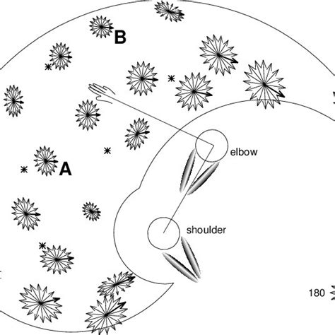 Performance In A Pointing Task Download Scientific Diagram