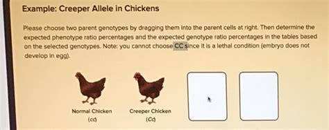Solved Example Creeper Allele In Chickens Please Choose Two