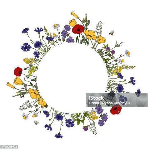 여름 초원 식물과 곤충 하얀 바탕에 화려한 야생화 땅벌 나비 꽃무늬 자연 패턴 벡터 플랫 그림입니다 형식 벡터 이미지 0명에 대한 스톡 벡터 아트 및 기타 이미지 Istock