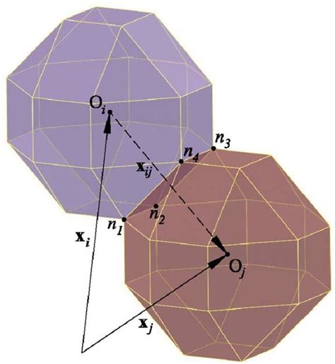 Interaction Of Two Cells In Contact For The Assumed Cell Download Scientific Diagram
