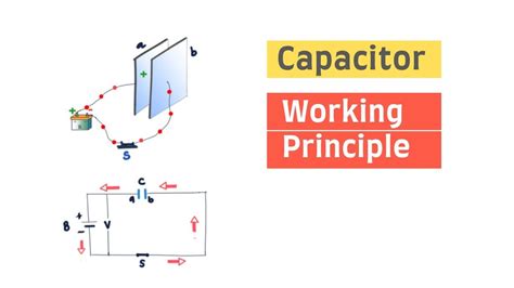 Types Of Caps Principles Stem Cube Formula Science Therapy