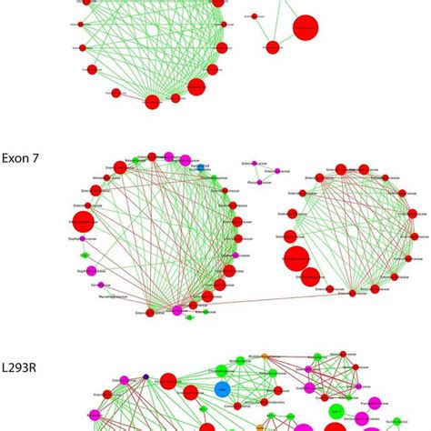 Heatmaps Of Homo Sapien Rna Seq Functional Gene Annotations Mapped To Download Scientific