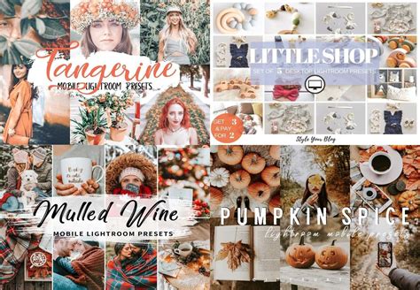Lightroom Style Layout Presets