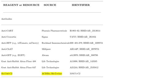 Vglut2 Slc17a6 Bio Techne Corporation Bioz
