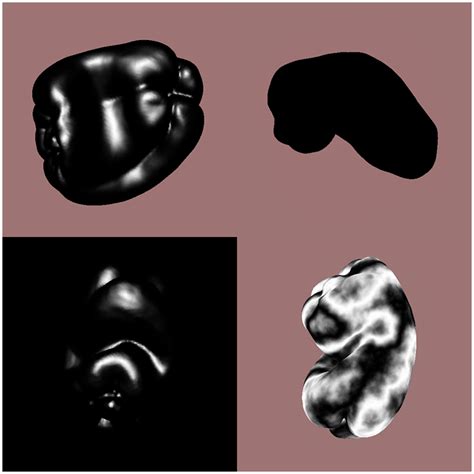 Example Stimulus Displays Used In The Visual Conditions Of Experiment Download Scientific