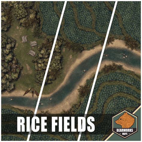 Rice Fields Battlemap 40x40 — 6 Variants Rroll20