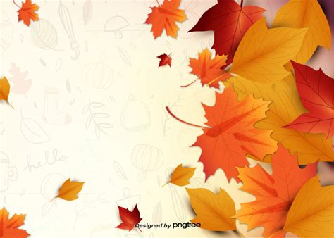 노란 단풍 배경 디자인 가을 단풍 잎 가 간단한 배경 일러스트 및 사진 무료 다운로드 Pngtree