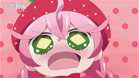 𝗔𝗰𝗿𝗼 𝗧𝗿𝗶𝗽『アクロトリップ』episode 8 Preview Youtube