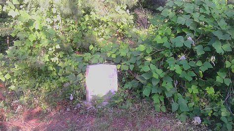 7 Ways To Find An Ancestors Burial Without A Headstone