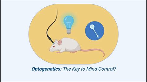 Optogenetics The Key To Mind Control Neuromodulation 2 5 Minute
