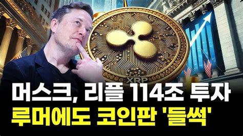 일론 머스크 리플xrp에 정말 투자했을까 루머와 진실 정리”