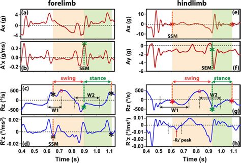 Four Limb Wireless Imu Sensor System For Automatic Gait Detection In Canines Abstract