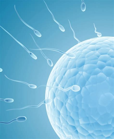 Чем опасен застой спермы у мужчины для зачатия Симптомы застоявшегося семени и к чему это