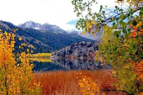 Mono County Fall Colors Road Trip Usa California