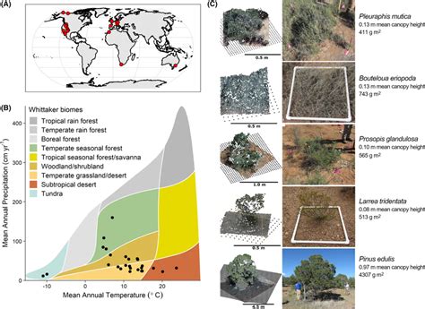 Point Clouds Derived From Uav Surveys Provided Structural Download