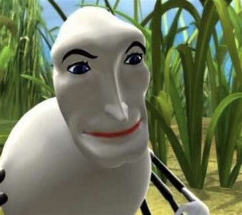 Pin de A Y L A em goofy goober Fotos de animais engraçados Fotos Engraçado