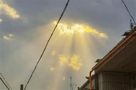 正道的光是什么梗御宅社