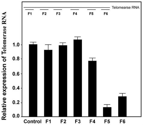 Specifically Modified Deoxynucleotide Short Chain And Application