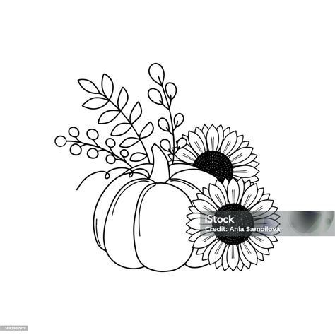 해바라기 낙서 그림이 있는 호박 호박 배열 손으로 그린 그림의 윤곽을 잡는다 호박과 색칠 공부 페이지입니다 추수 감사절 호박 컬러링 북 페이지 일러스트레이션 기법에 대한