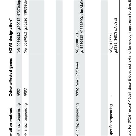 Large Genomic Rearrangements In The Brca1 Gene Identified In The Download Table