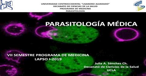 Presentación De Powerpoint · Diferencia Entre E Histolytica Y E Coli