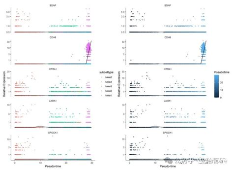 利用monocle对单细胞进行拟时序分析 知乎