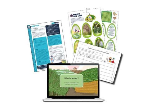 P4 Science Lesson Plants Investigation Teaching Resources