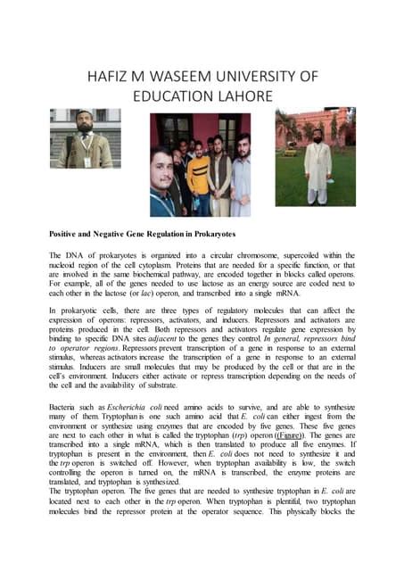 Gene Expression And Regulationpptx