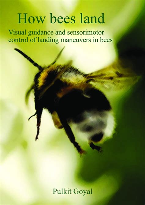 Summary Phd Thesis Pulkit Goyalhow Bees Land Visual Guidance And Sensorimotor Control Of