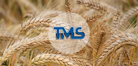 Якість та безпека харчових продуктів Tms Ua