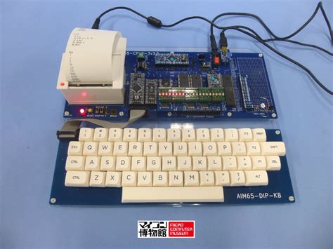 6502 All Living Things