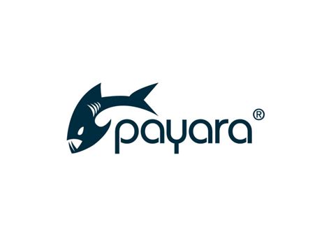 Payara Splits Its Open Source Product Offering Into Enterprise And Community Editions Uk Tech News