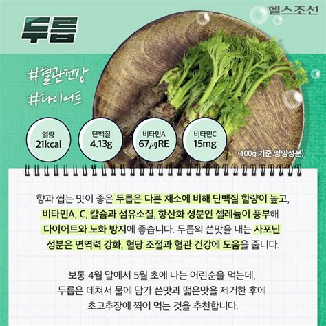 [카드뉴스] 두릅 Vs 취나물 봄나물 영양성분 비교 당신의 건강가이드 헬스조선