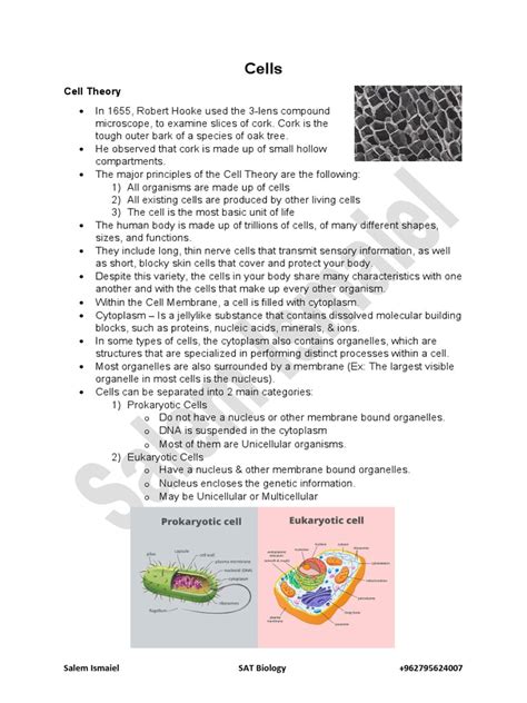 Chapter 3 Unit 2 Pdf