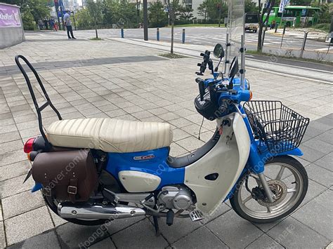 2022년식 혼다 슈퍼커브 블루 경기 125cc 이하 중고나라