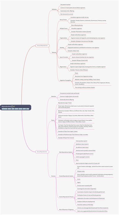 Reproduction Asexual Vs Sexual Processes