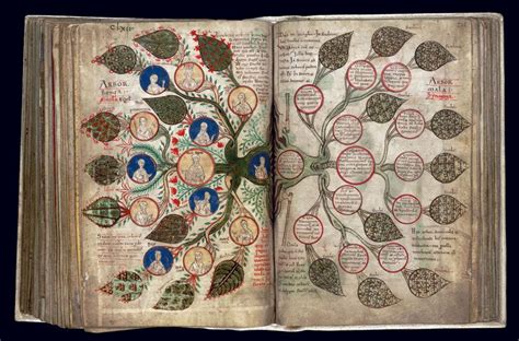 900 Years Of Tree Diagrams The Most Important Data Viz Tool In History