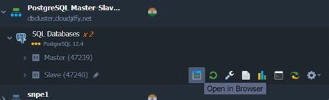 How Do I Use Postgresql Master Slave Cluster Cloudjiffy World
