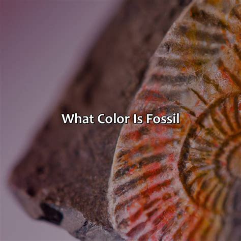 What Color Is Fossil