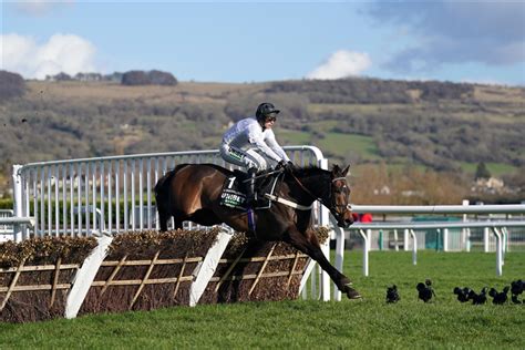 Constitution Hill Heads Eight Champion Hurdle Confirmations Sky
