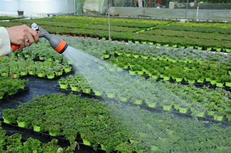 什么是“有机”？如何鉴别有机产品产品？ 有机百科 月财生态 有机数智农业一站式服务商