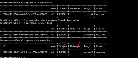 openstack启动实例status显示errornetworks显示空怎么解决有没有大神求解决 CSDN社区