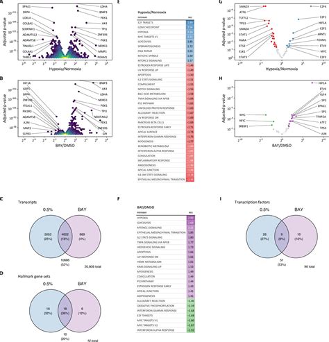 Figures And Data In Myc Overrides Hif 1α To Regulate Proliferating Primary Cell Metabolism In