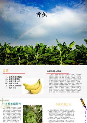 香蕉PPT模板下载 编号qmyjzbzg 熊猫办公