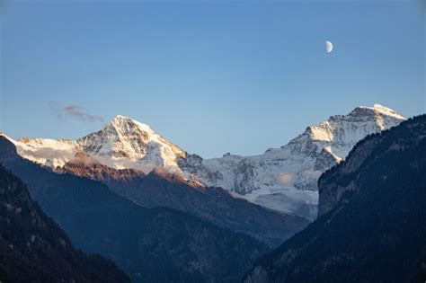 Microsoft 365 Copilot • Techtask Consulting