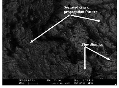 Sem Fractograph Showing The Fracture Characteristics Of Dct Specimen