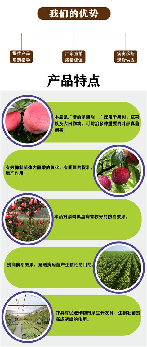 无秀元 锰锌三唑酮锈病白粉病黑星病广谱杀菌剂 农查查