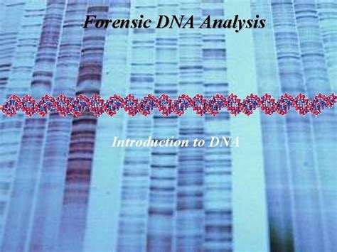 Forensic Dna Analysis Introduction To Dna The Cell