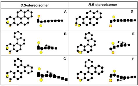 Molecular Models Of S S And R R Stereoisomers Of Download Scientific Diagram